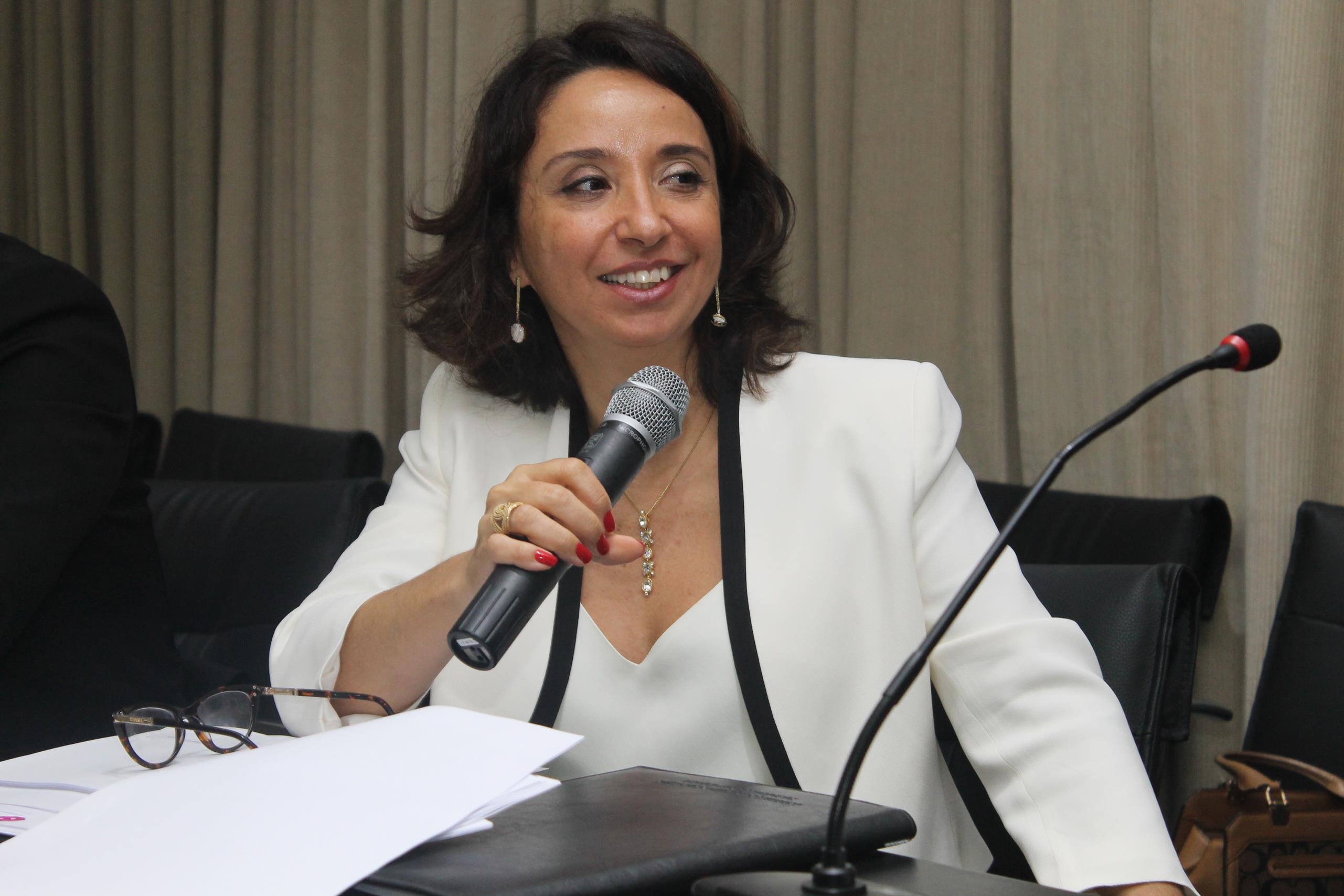 Estudo técnico sobre PL do Seguro chega ao Senado Federal